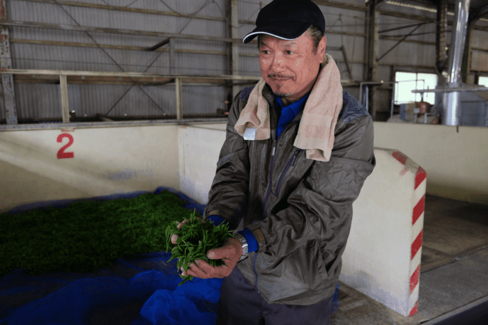 Ultimate Guide to The Famous Japanese Gyokuro Tea of Emperors - Life is ...