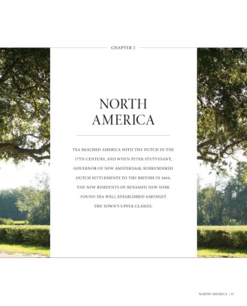World of Tea Book: A Beautiful Volume On Tea Throughout The World ...