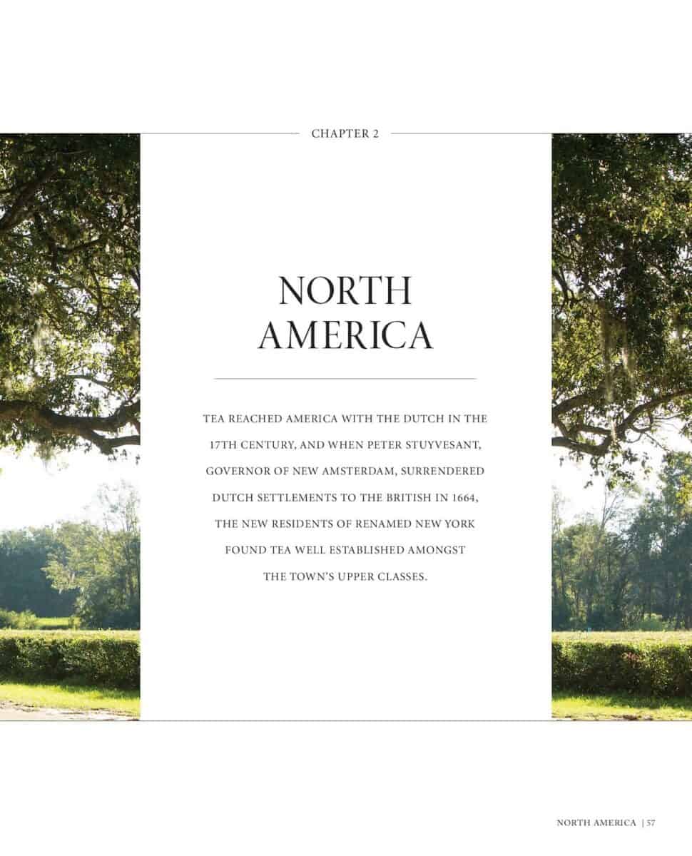 World of Tea Book: A Beautiful Volume On Tea Throughout The World ...